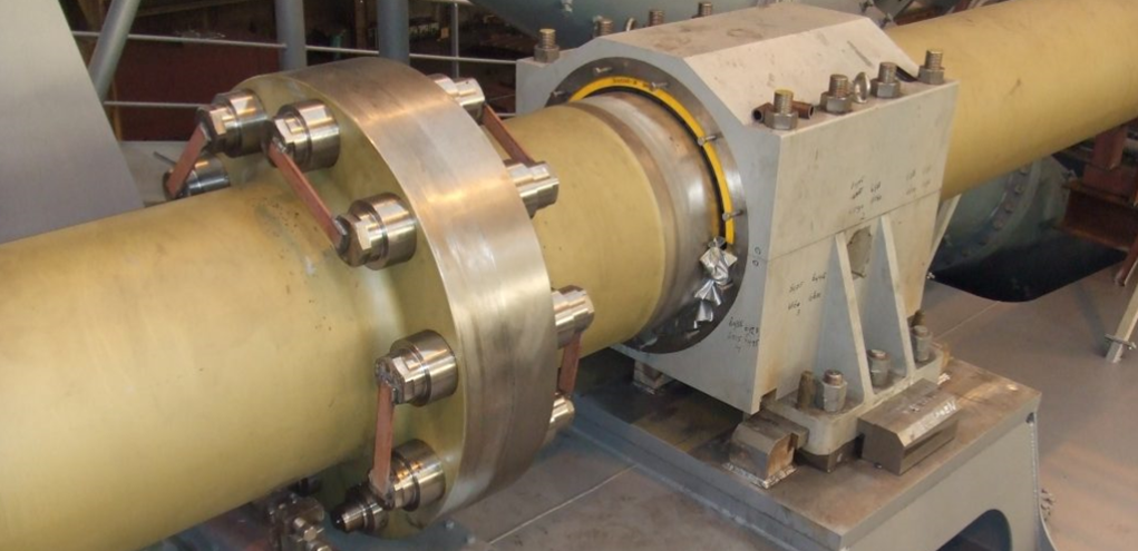 Pigrim International