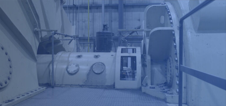 Pigrim International – Removing Uncertainty for Our Clients